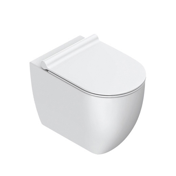 Sfera Floor Toilet Suite 540 x 350mm Matte White Concealed Inlet ...
