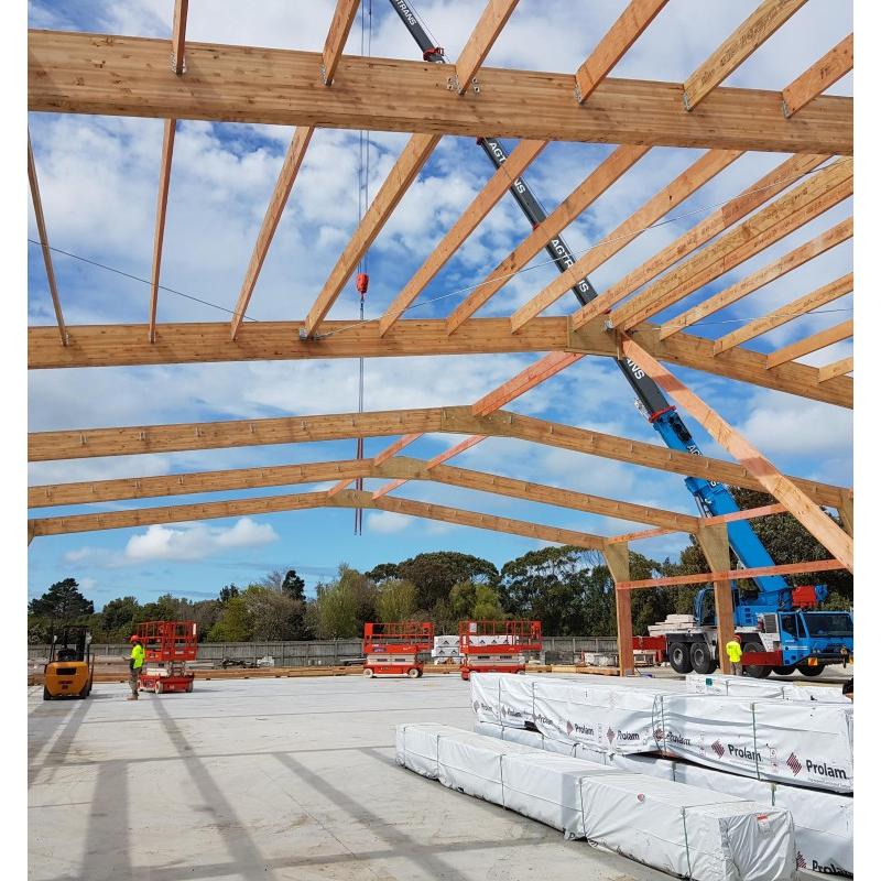 Radiata Glulam Beam Non-Visual H1.2 Boron Treated PL12 240 x 90mm x 5.4m | PlaceMakers NZ