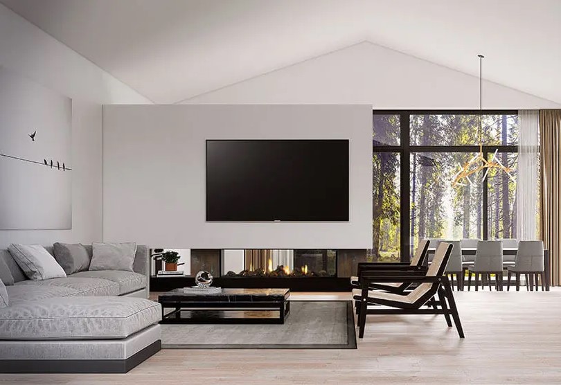 DS1650 Gas Fire LPG Double Sided 908069 | PlaceMakers NZ