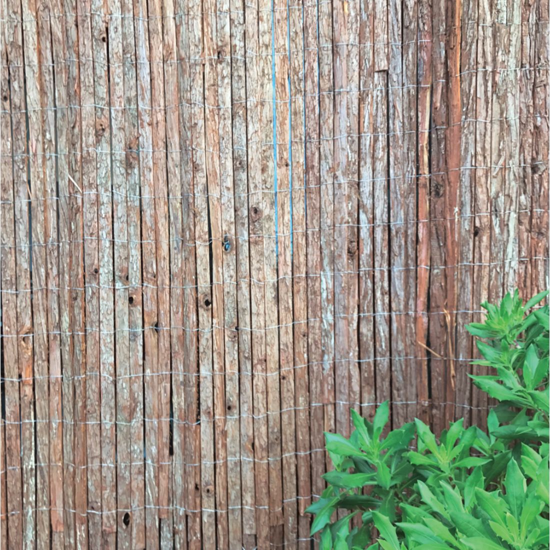 Bark Screen 3.0m x 1.8m | PlaceMakers NZ