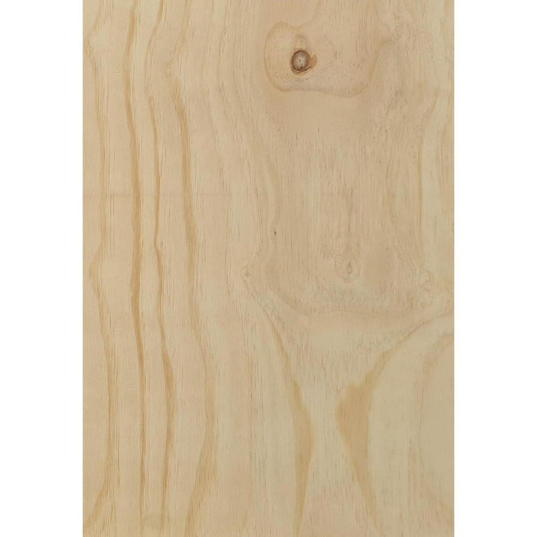 Non Structural Plywood | PlaceMakers NZ