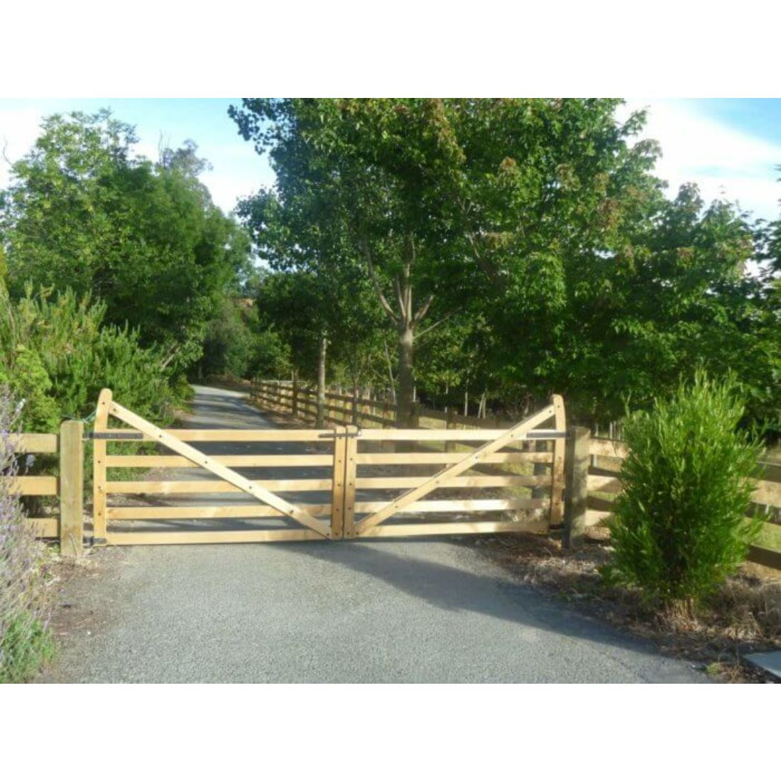 Timber Oakfield Lifestyle Double Gate Radiata Pine 1000 x 2100mm ...