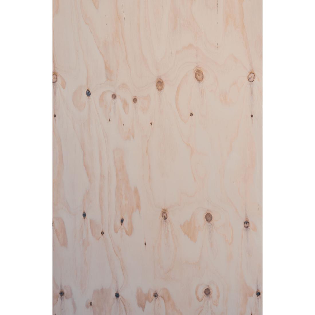 Radiata Structural Plywood F8/F8 H3.2 CCA Treated DD 2400 x 1200 x 19mm ...